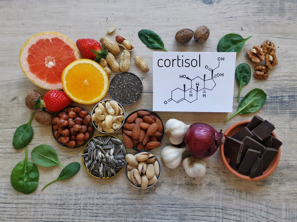 Balancing Cortisol, The Master Hormone of Stress and Resilience – The ...